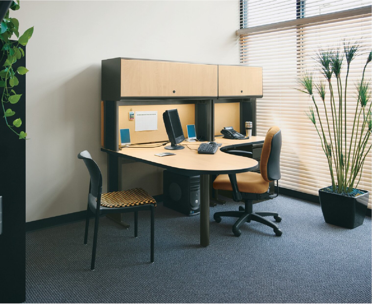 Flexstation Image Gallery