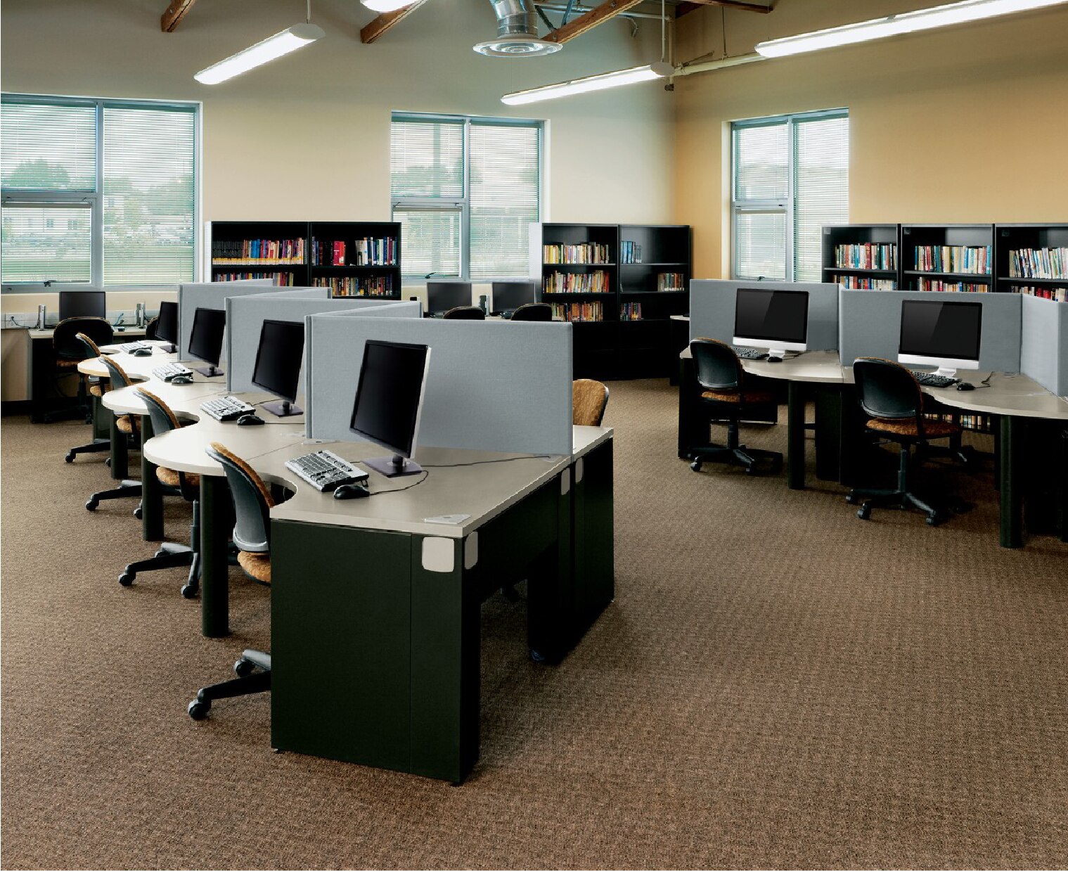 Volition Image Gallery