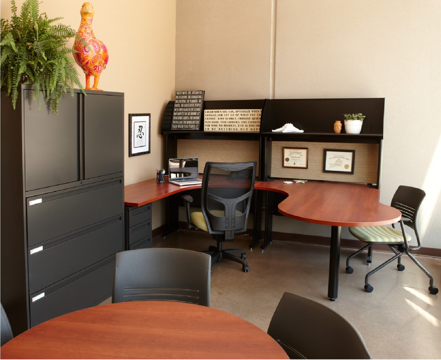 Flexstation Image Gallery